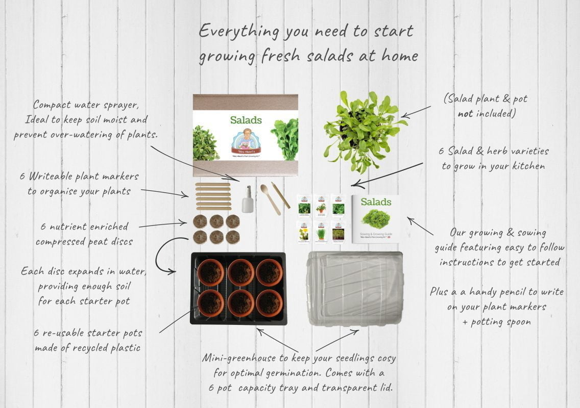 Salads - Mrs Henri’s Plant Growing Kit - Mrs Henri's
