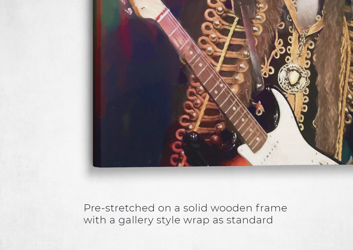 Hendrix Style Cat Portrait - Legendary Icons pet portrait on canvas ...
